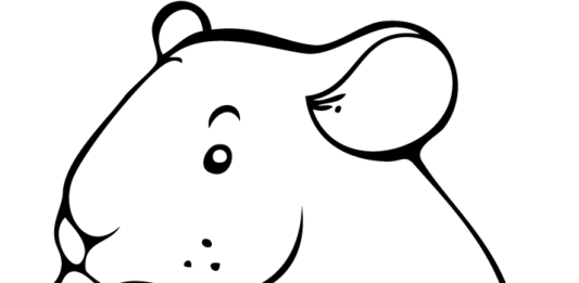 Kolorowanki Chomiki do druku i wydruku online