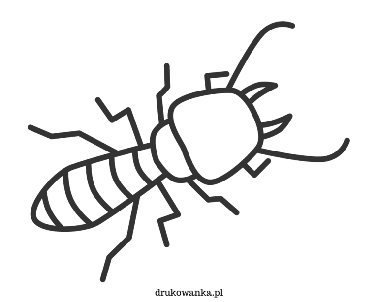 Kolorowanka Robak termint do druku i online